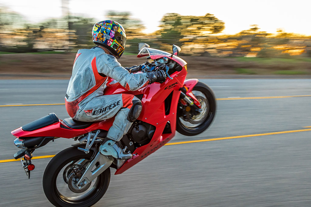Choosing Your Companion: Decision-Making Insights from Our Motorcycle ...